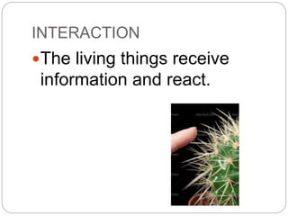 The 3 vital functions and the cells 6th primary | PPTX