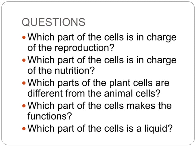 The 3 vital functions and the cells 6th primary | PPT