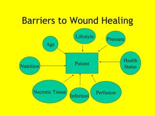 The 411 On Wound Care Ppt
