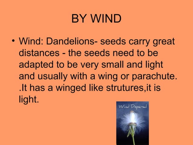 The 4 methods_of_dispersal[1]elliot ng | PPT