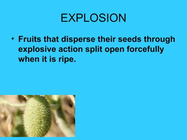 The 4 methods_of_dispersal[1]elliot ng | PPT