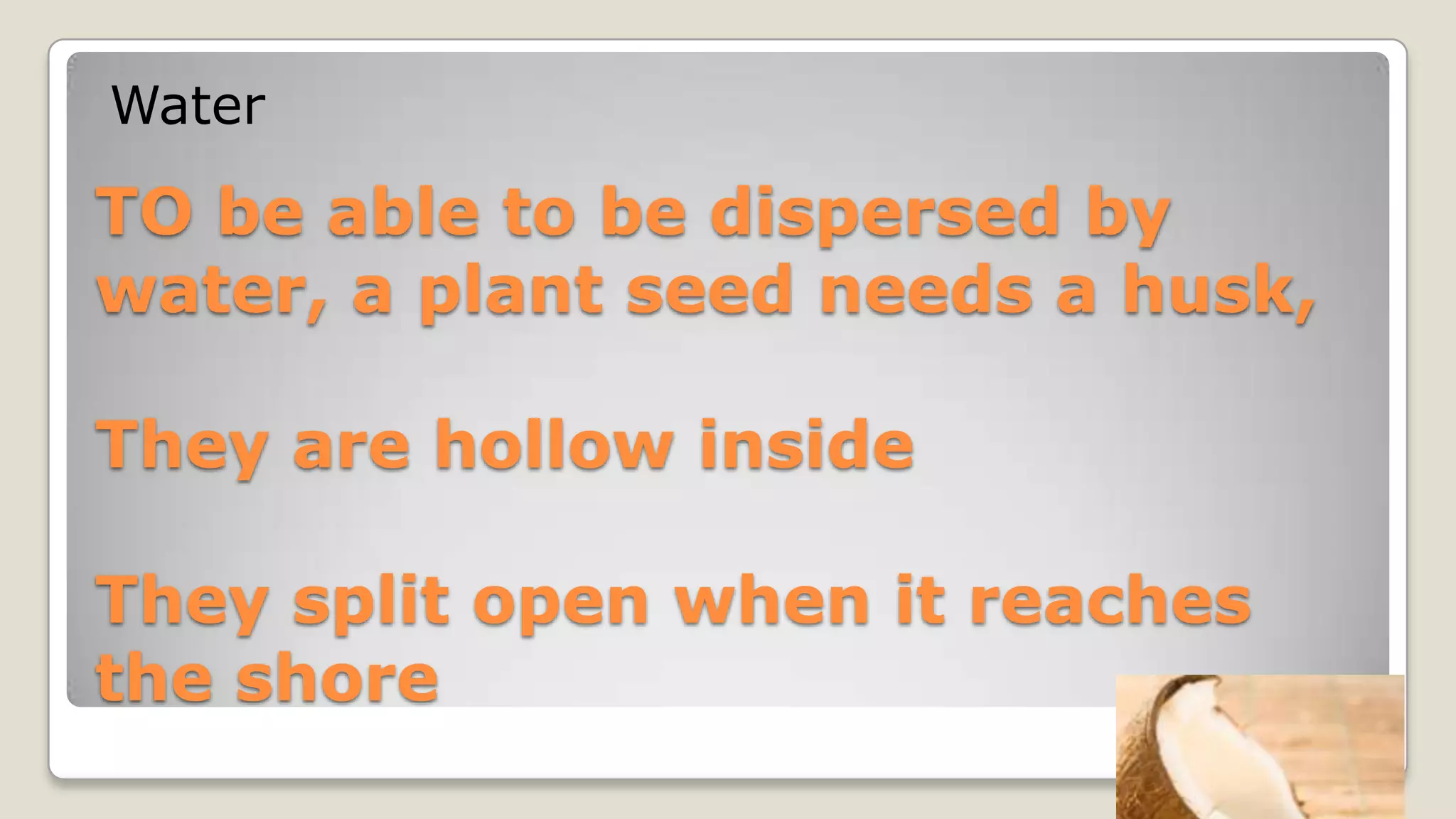 The 4 methods of seed dispersal | PPTX