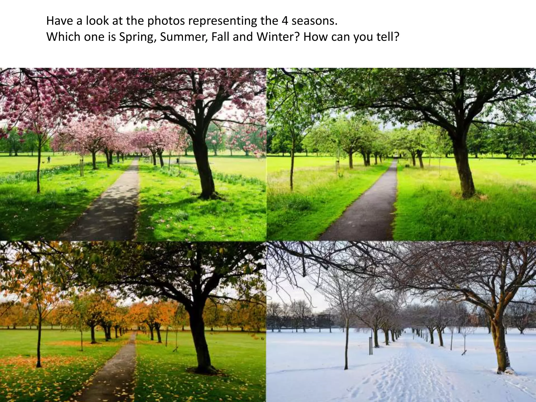 The 4 seasons | PPTX