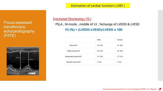 Focus Assessed Transthoracic Ultrasound ( FATE ) - 22 Nov 2024 - Dr ...