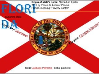 The 50 states | PPTX