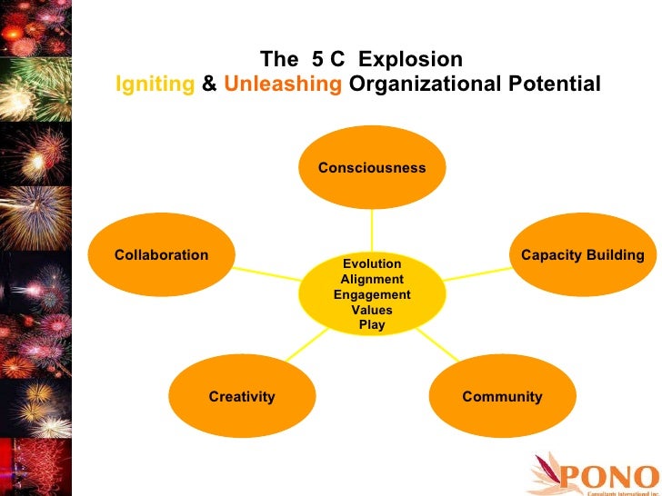 The 5 C Model Of Dynamic Organizational Culture Halifax Rotary0…