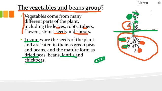 The 5 food groups powerpoint | PPTX
