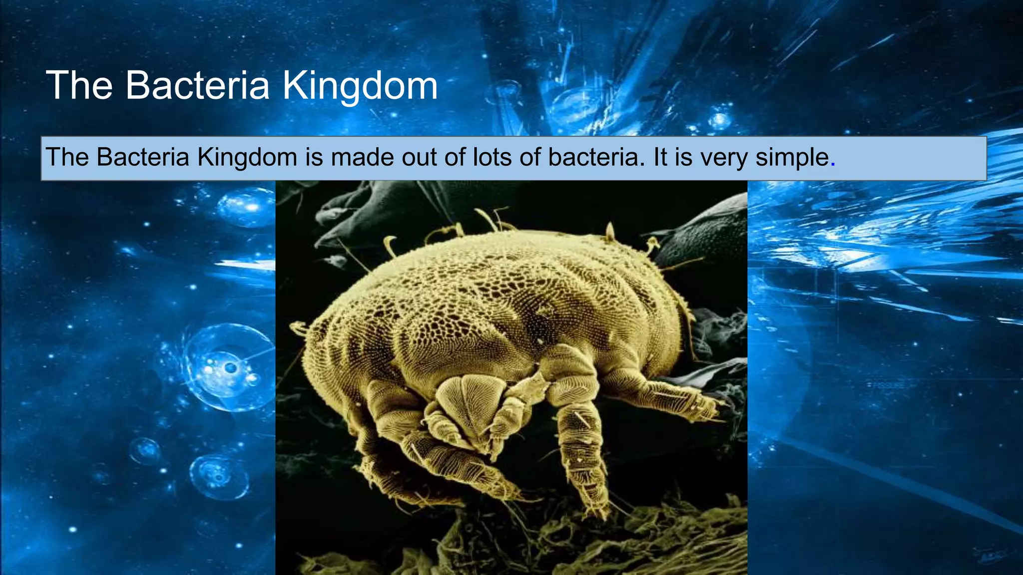 The 5 Kingdoms | PPTX