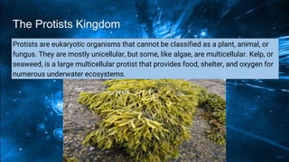 The 5 Kingdoms | PPTX