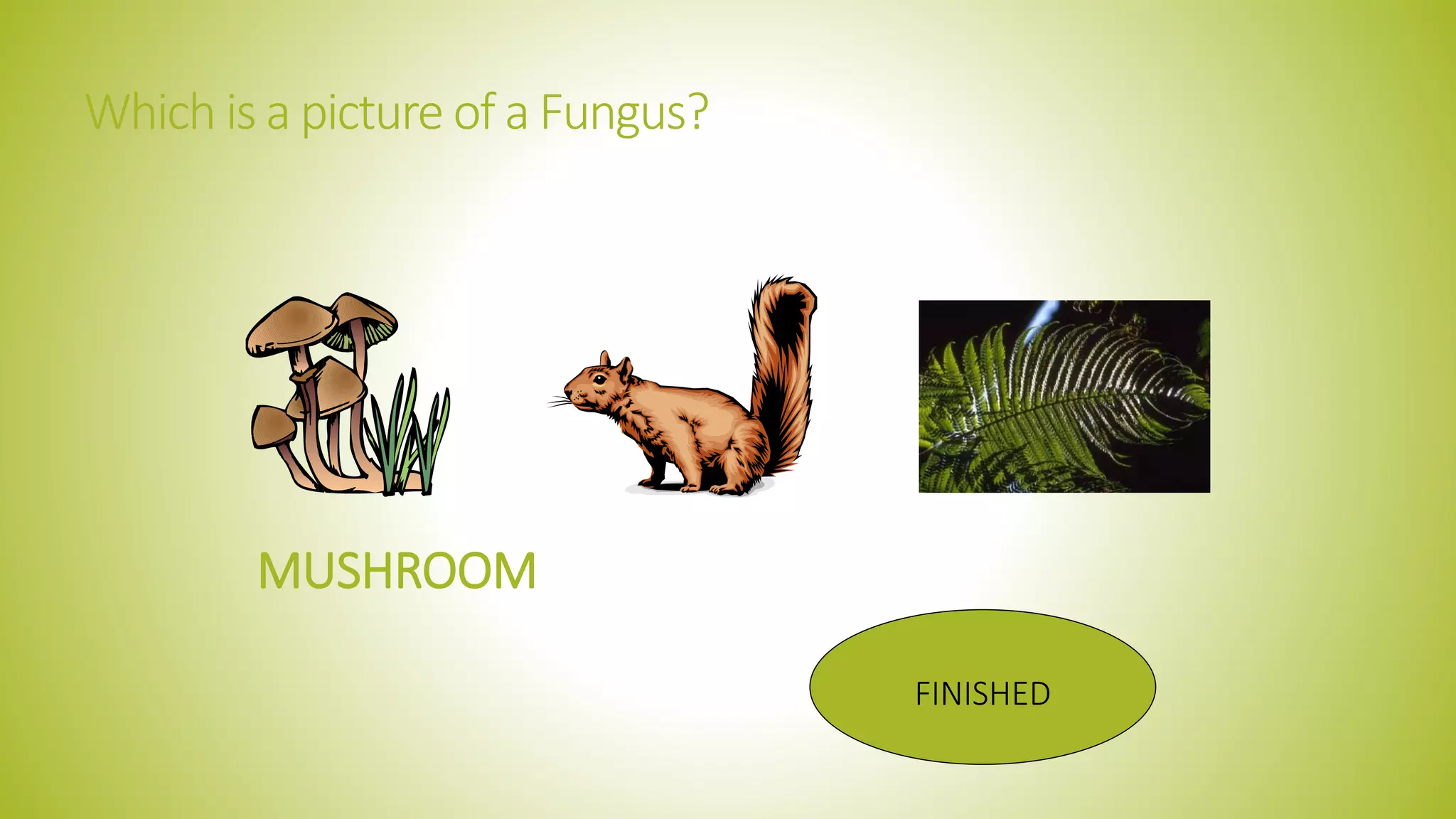 The 5 kingdoms | PPTX