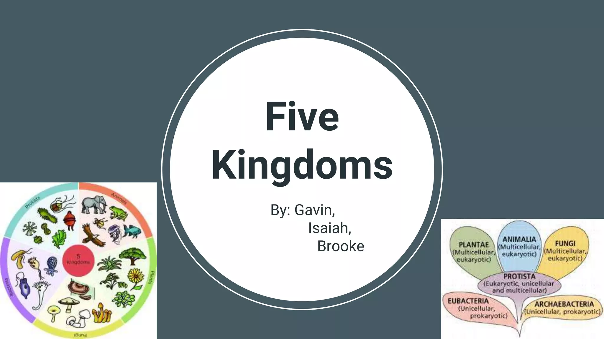 The 5 kingdoms (1) | PPTX