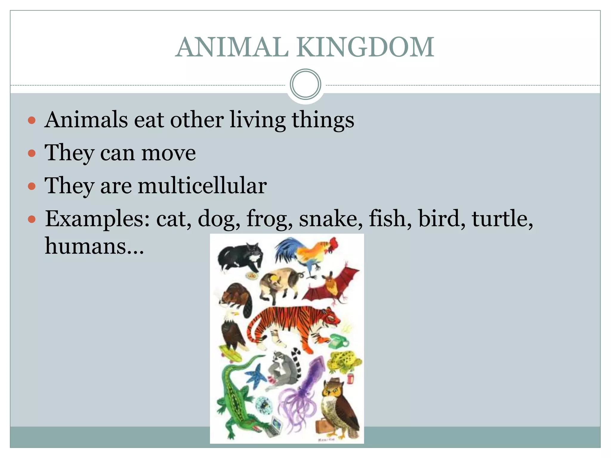 The 5 kingdoms natural science 6th primary | PPT
