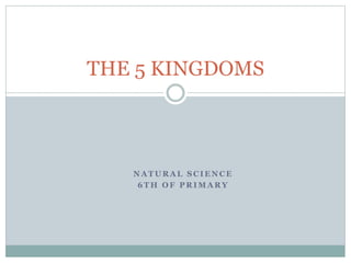 The 5 kingdoms natural science 6th primary | PPTX | Biological Sciences ...