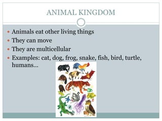 The 5 kingdoms natural science 6th primary | PPTX