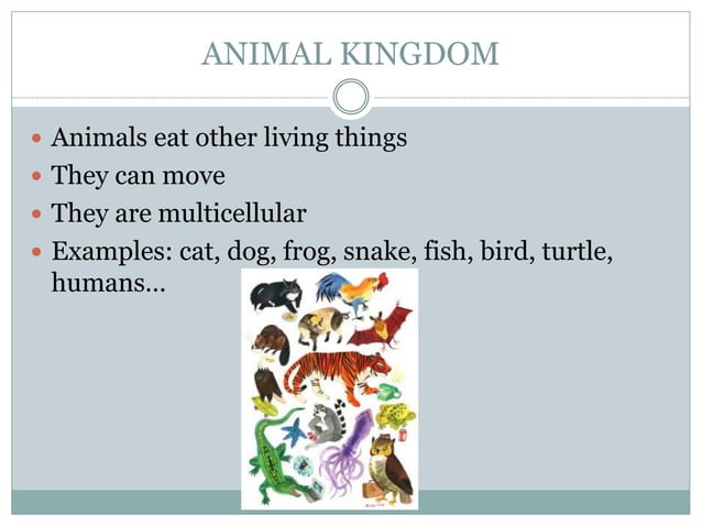 The 5 kingdoms natural science 6th primary | PPT