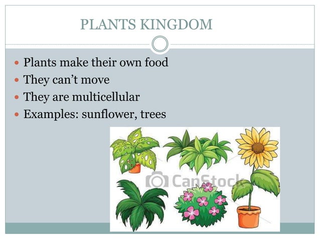 The 5 kingdoms natural science 6th primary | PPT