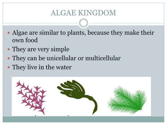 The 5 kingdoms natural science 6th primary | PPT