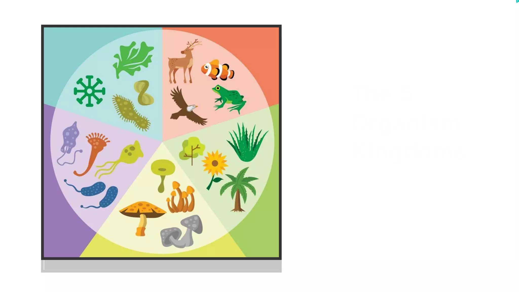 The 5 organism kingdoms | PPT | Biological Sciences | Science