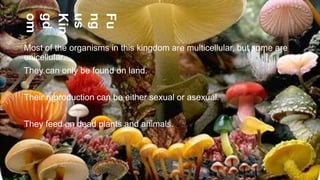 The 5 organism kingdoms | PPT | Biological Sciences | Science