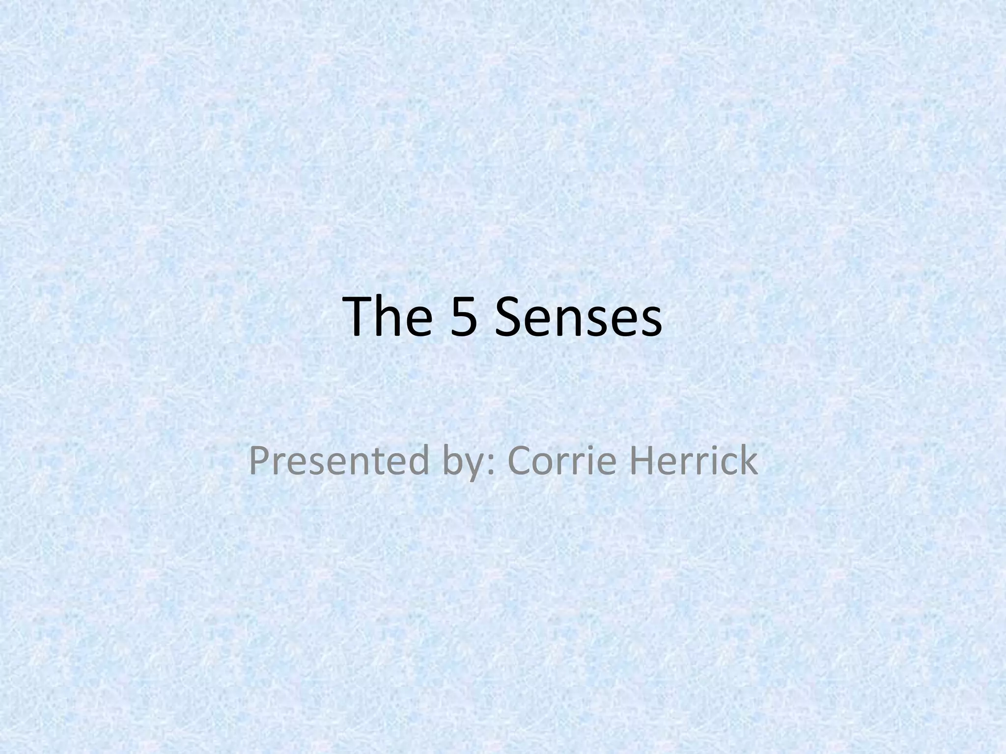 The 5 senses | PPT