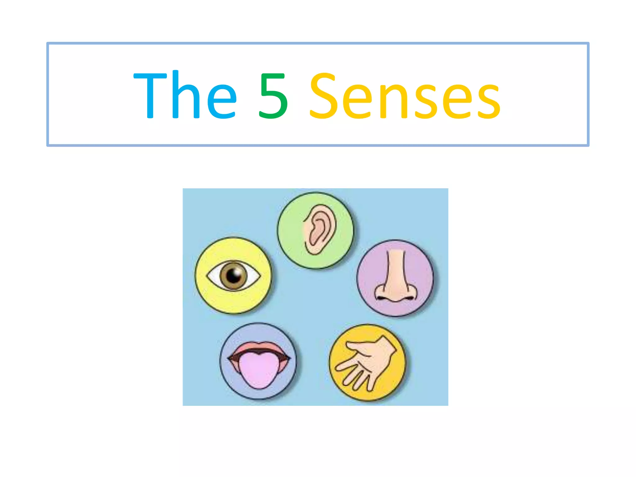 The 5 senses | PPTX