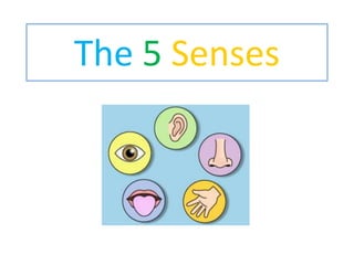 The 5 senses | PPTX