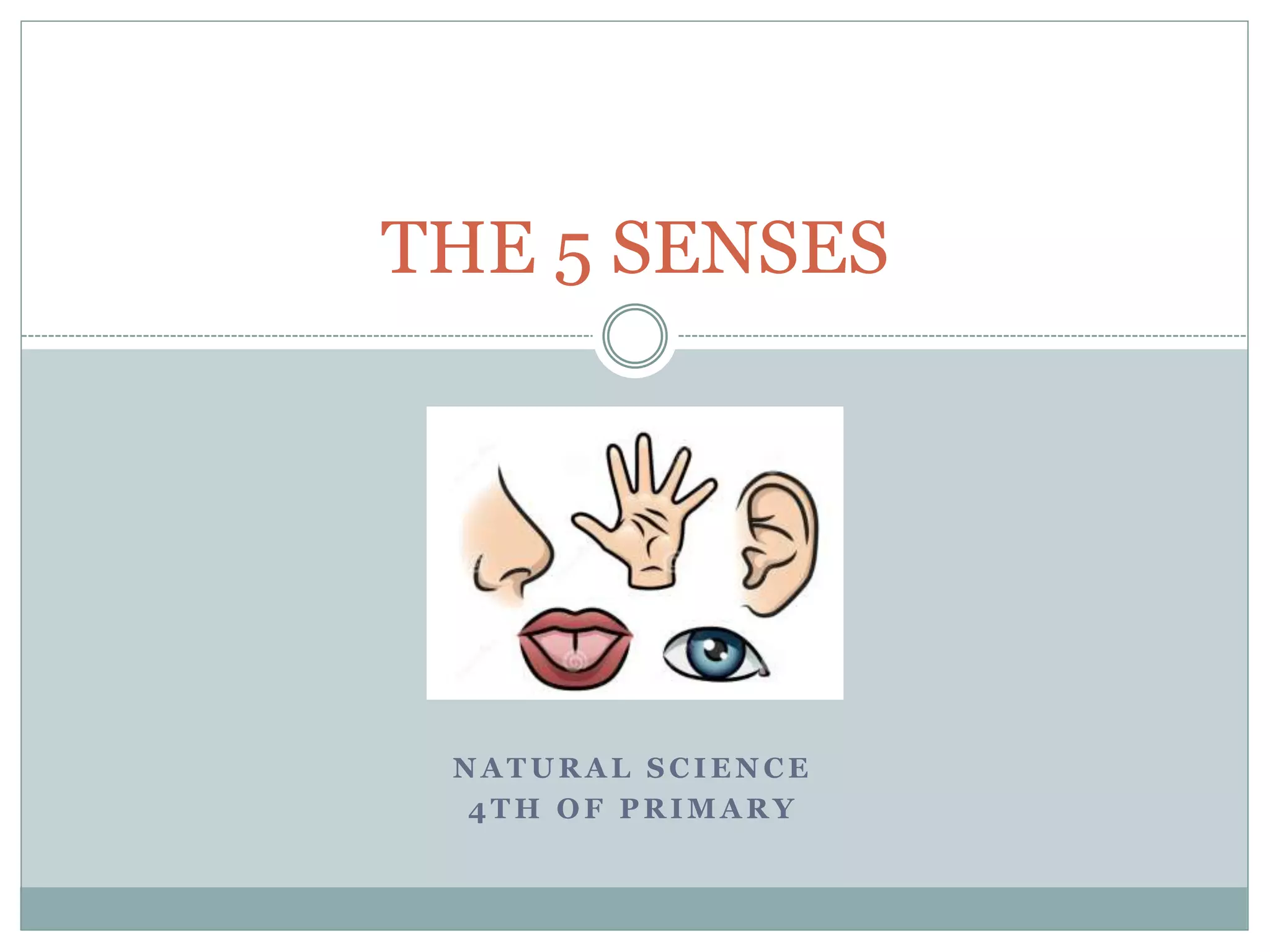 The 5 senses | PPTX