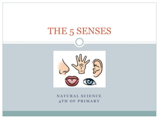 The 5 senses | PPTX