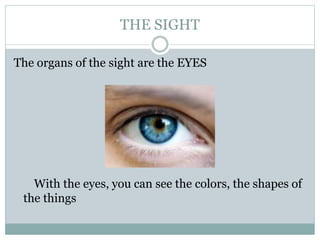 The 5 senses | PPTX