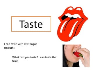 The 5 senses | PPTX