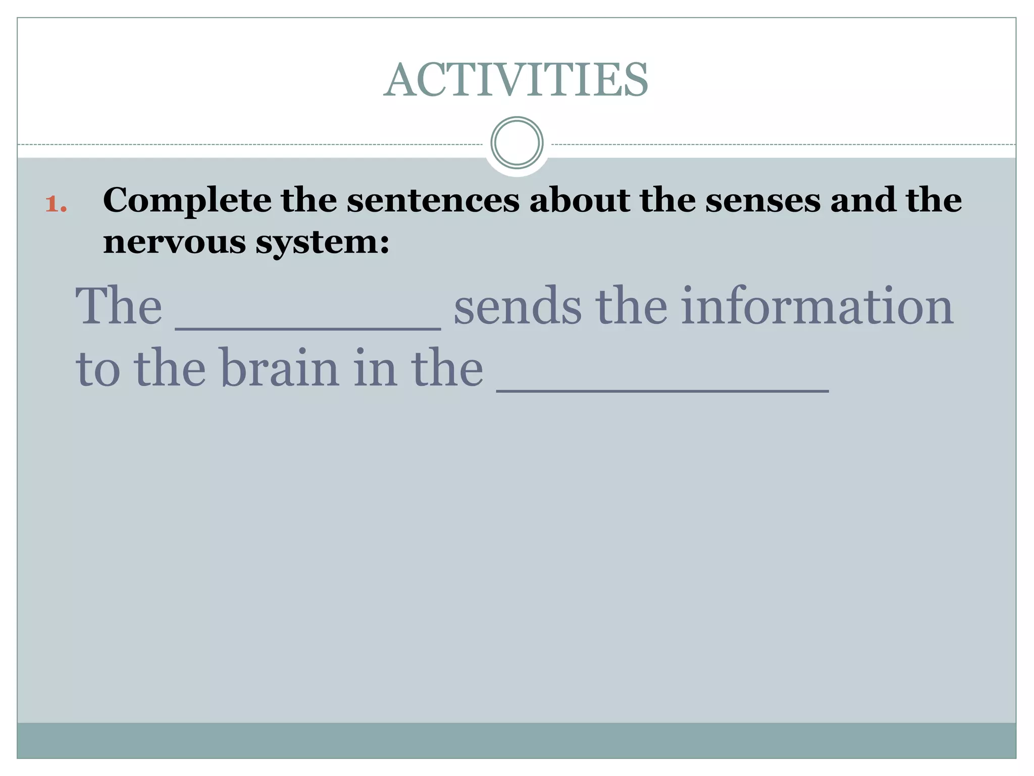 The 5 senses and nervous system | PPTX