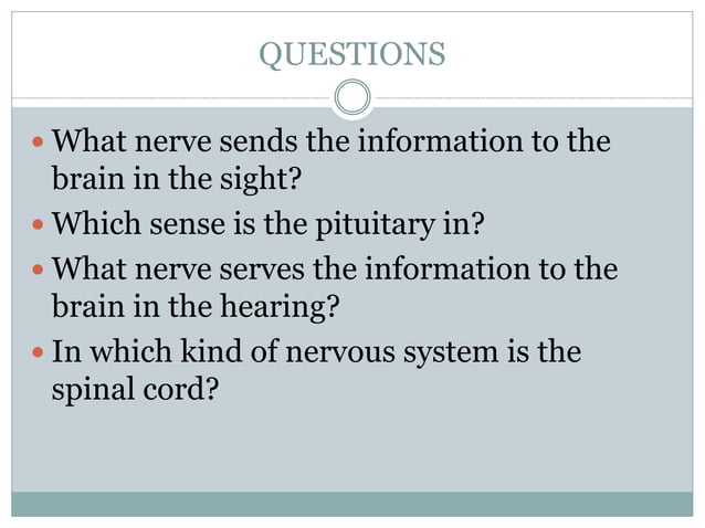 The 5 senses and nervous system | PPTX