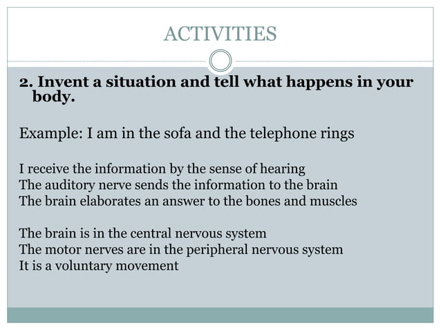 The 5 senses and nervous system | PPTX
