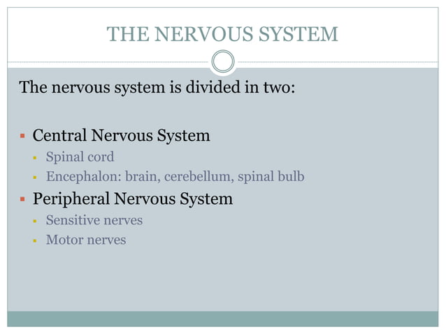 The 5 senses and nervous system | PPTX