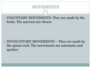 The 5 senses and nervous system | PPTX