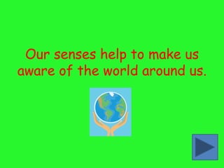 The 5 Senses Learning Game | PPTX