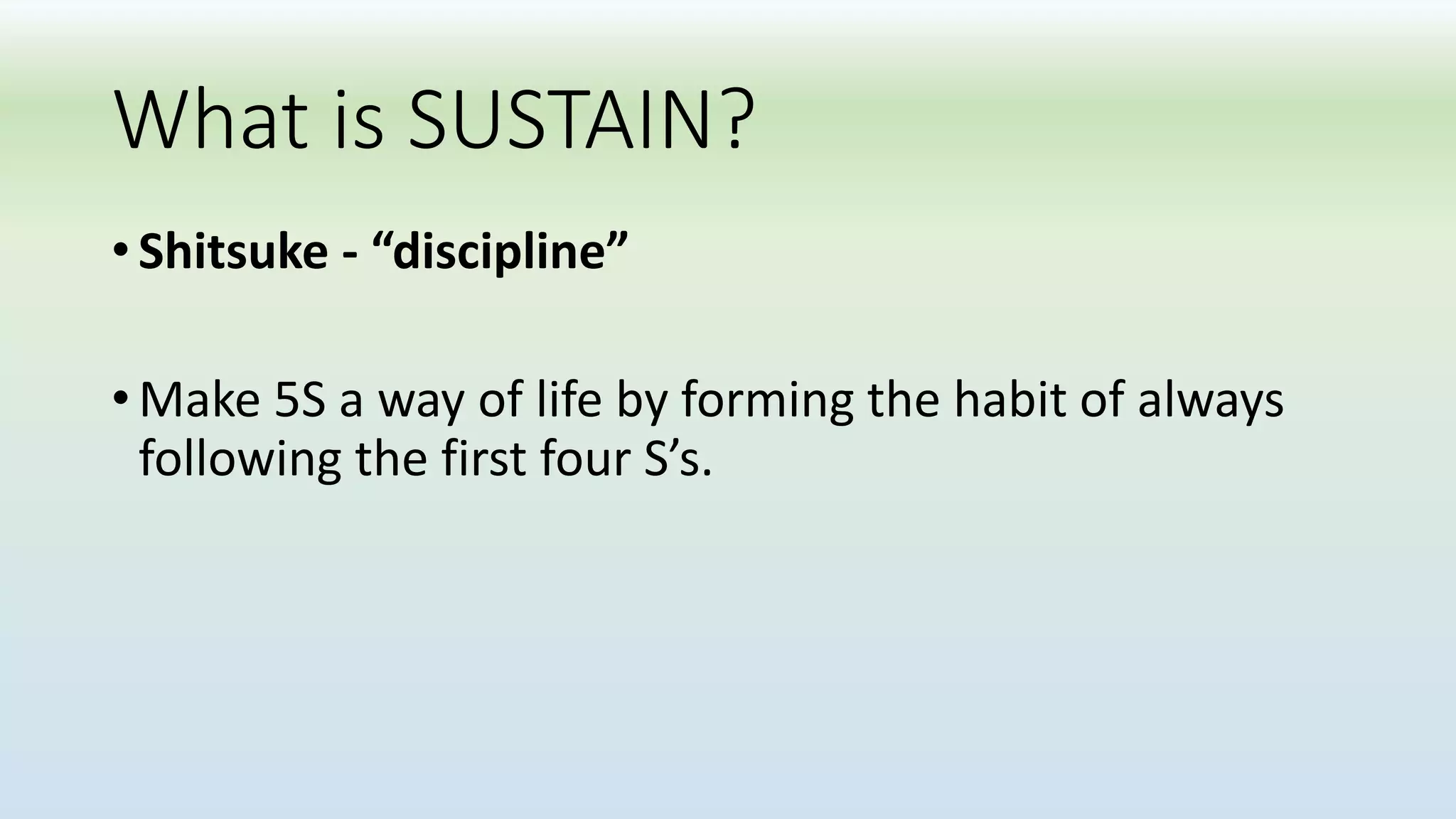 THE 5S Principles.pptx