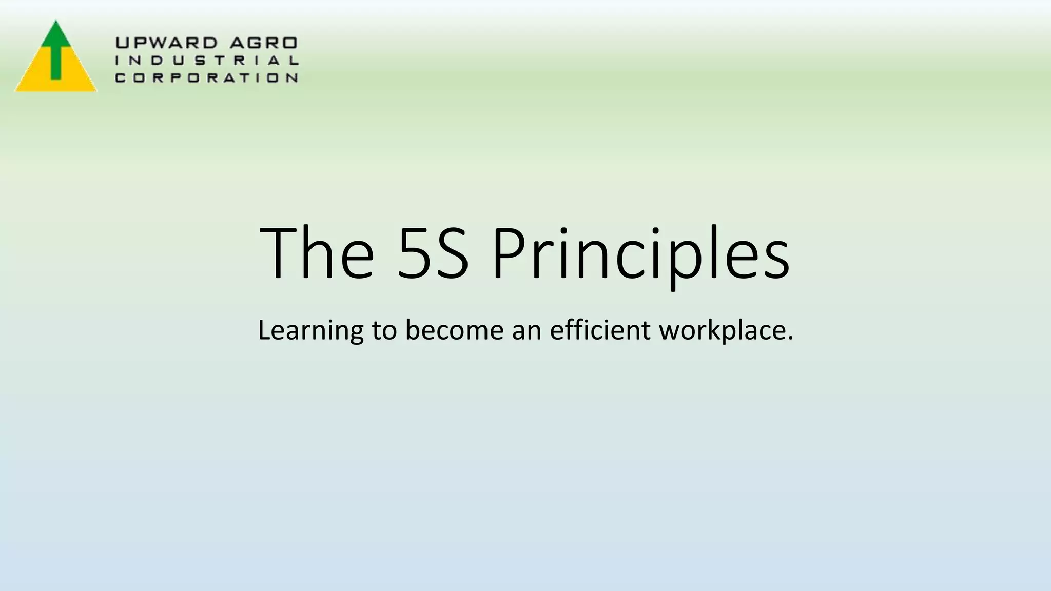 THE 5S Principles.pptx