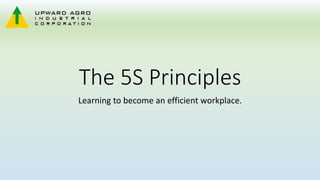 THE 5S Principles.pptx