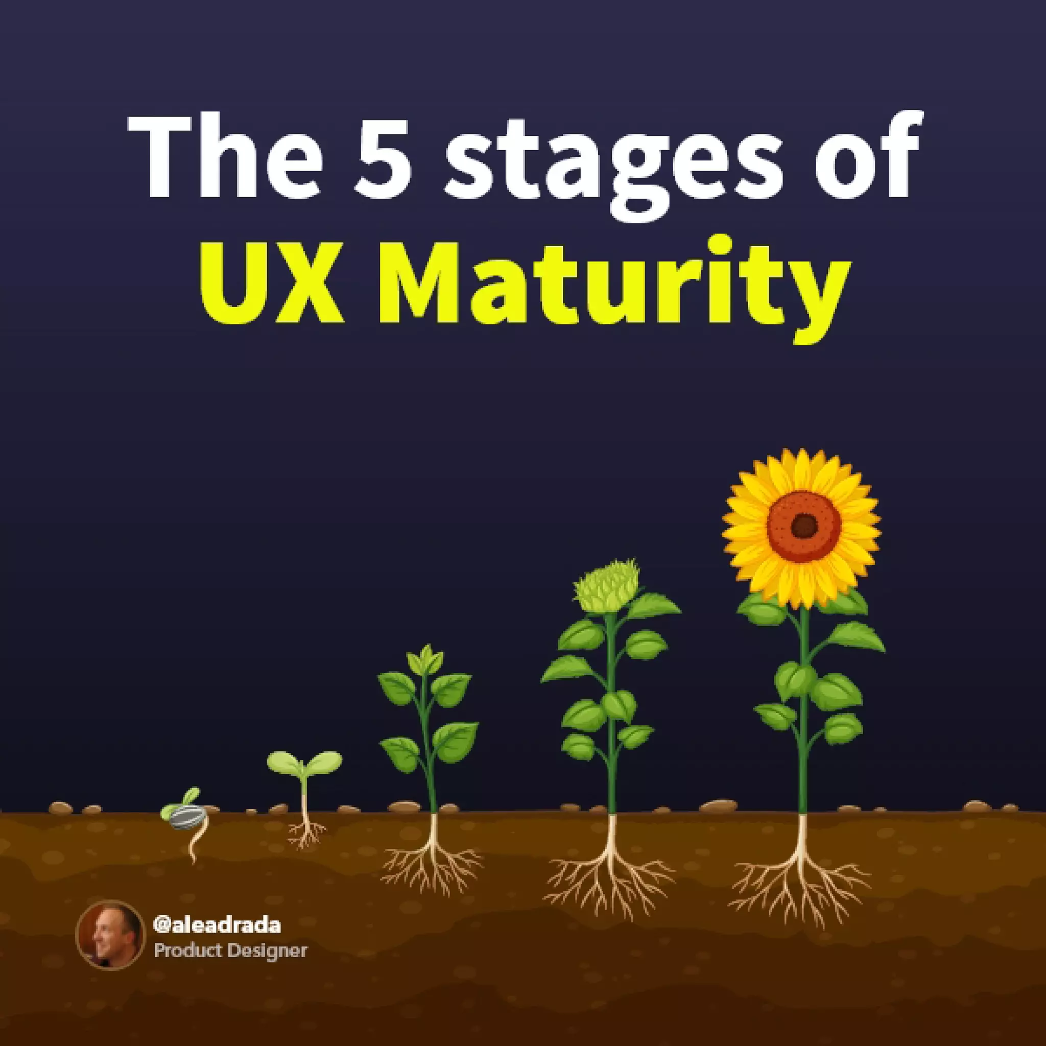 The 5 stages of ux maturity | PDF | Computing | Technology & Computing