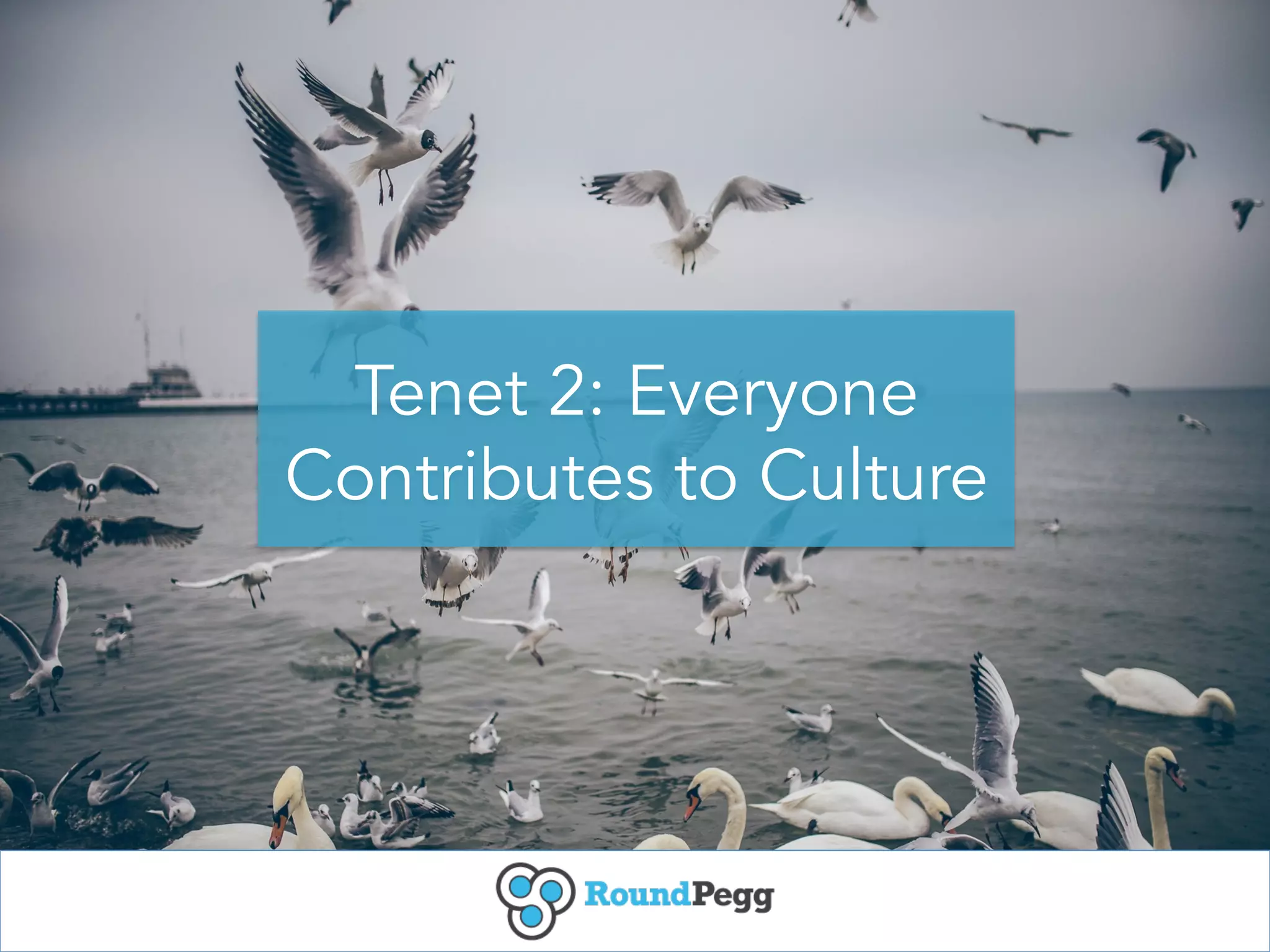The Five Tenets of Culture | PDF