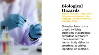 6 categories of workplace hazards in industries | PPTX