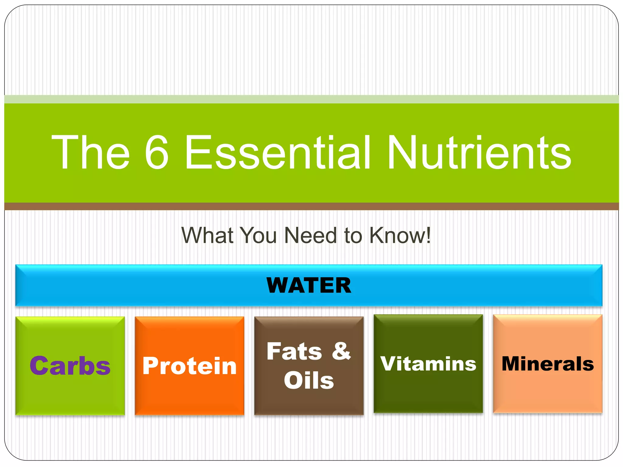 The 6 Essential Nutrients - Christine Hodgson | PPTX