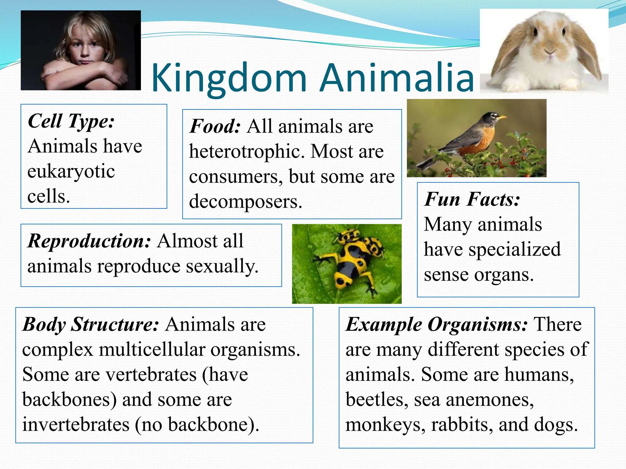 The 6 Kingdoms.pptx | Biological Sciences | Science