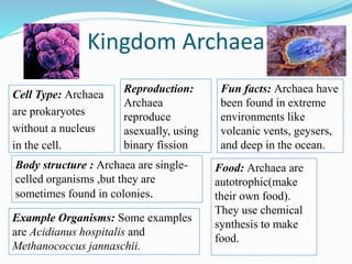 The 6 Kingdoms.pptx | Biological Sciences | Science
