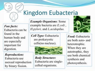 The 6 Kingdoms.pptx | Biological Sciences | Science