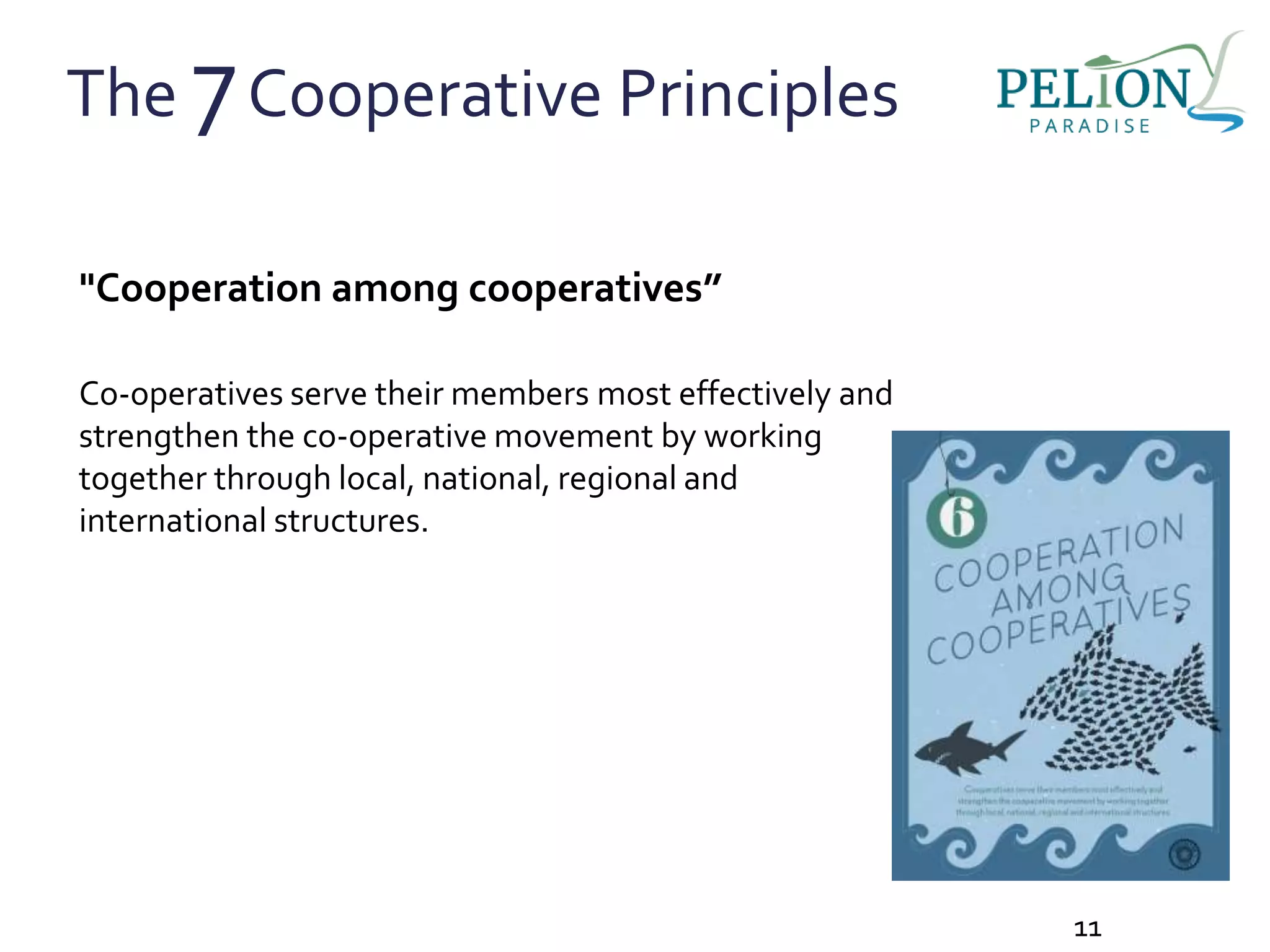The 7 cooperative principles | PPTX