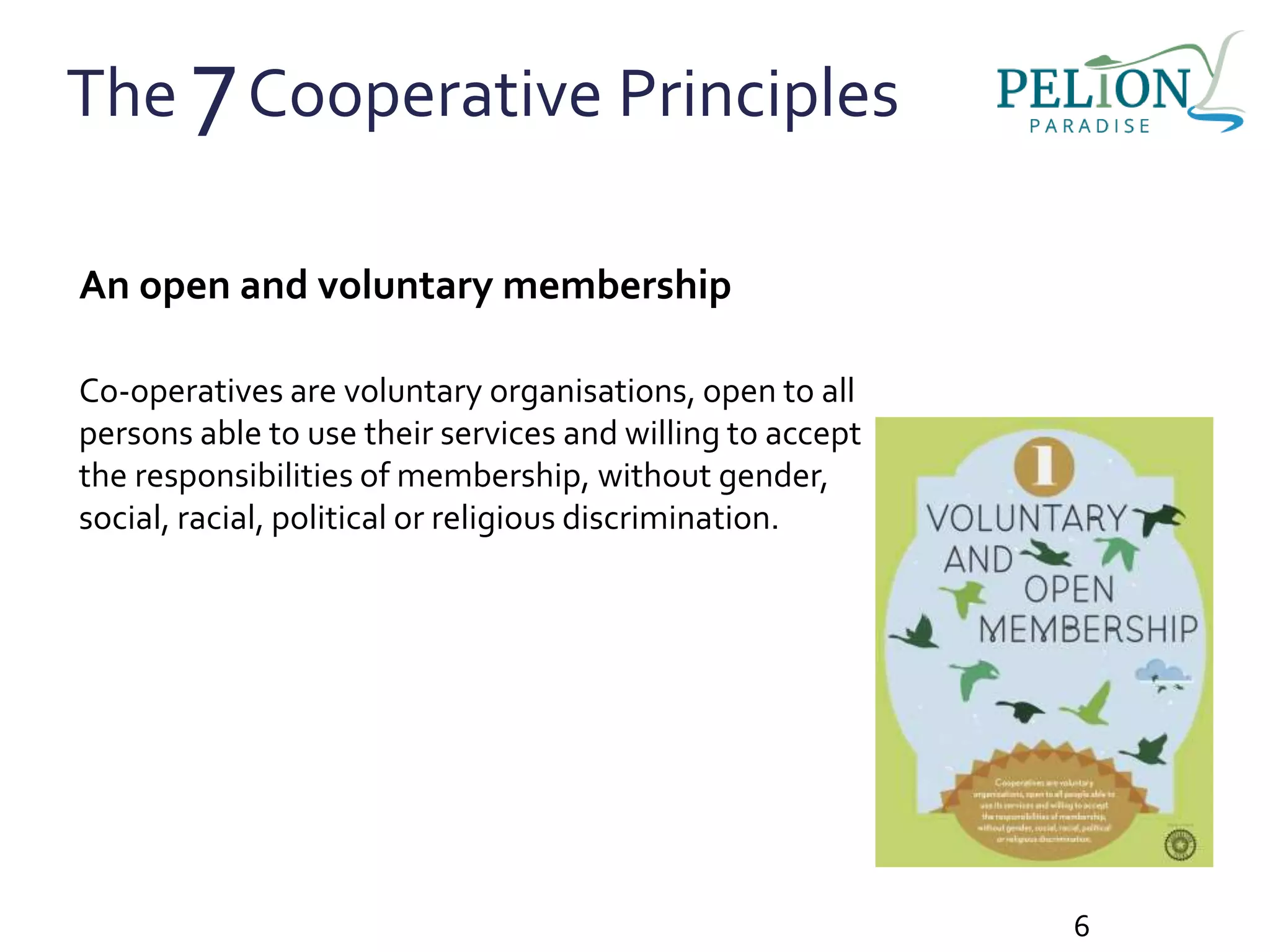 The 7 cooperative principles | PPTX