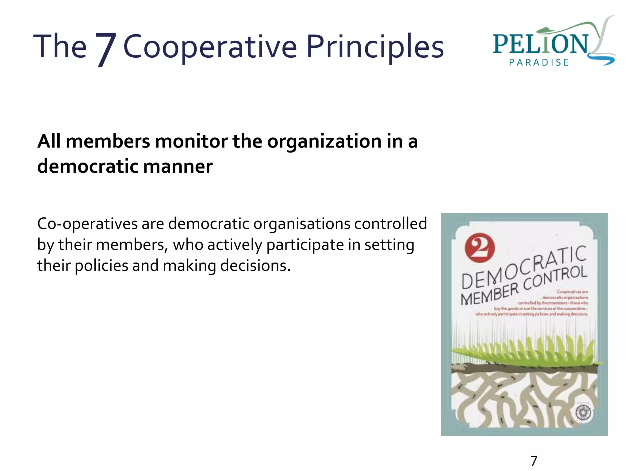 The 7 cooperative principles | PPTX