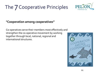 The 7 cooperative principles | PPTX